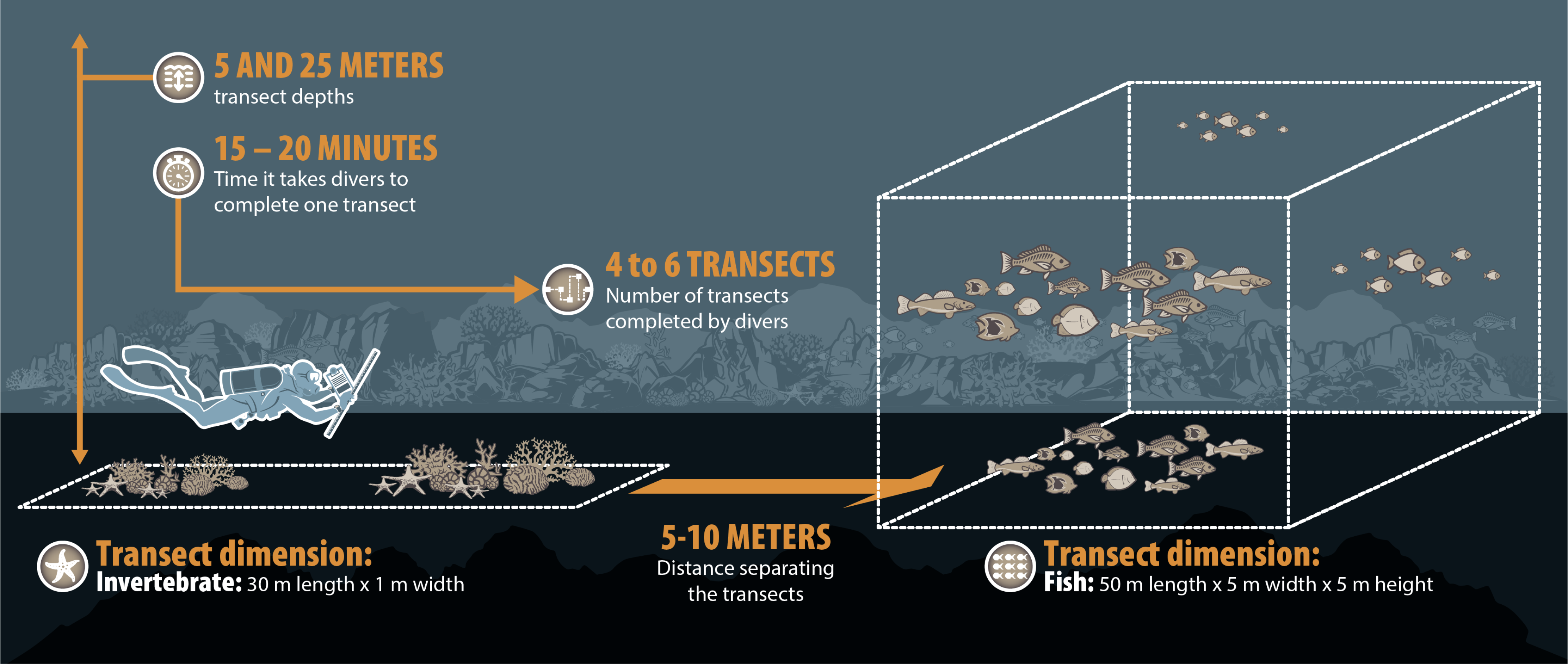 Ecological Monitoring